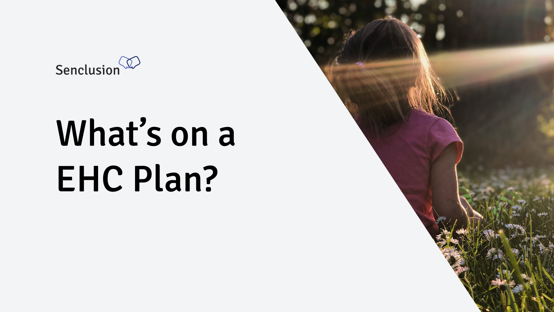 SENDIASS | Senclusion